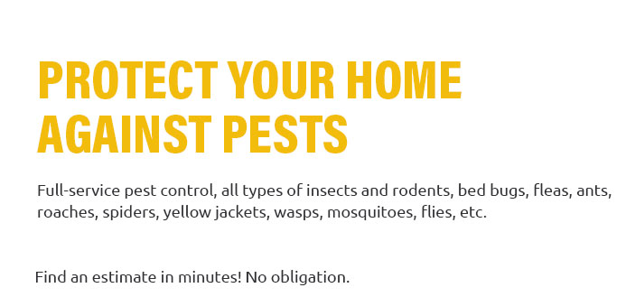 Pest Control In Chicago Area 🥇 Dec 2025